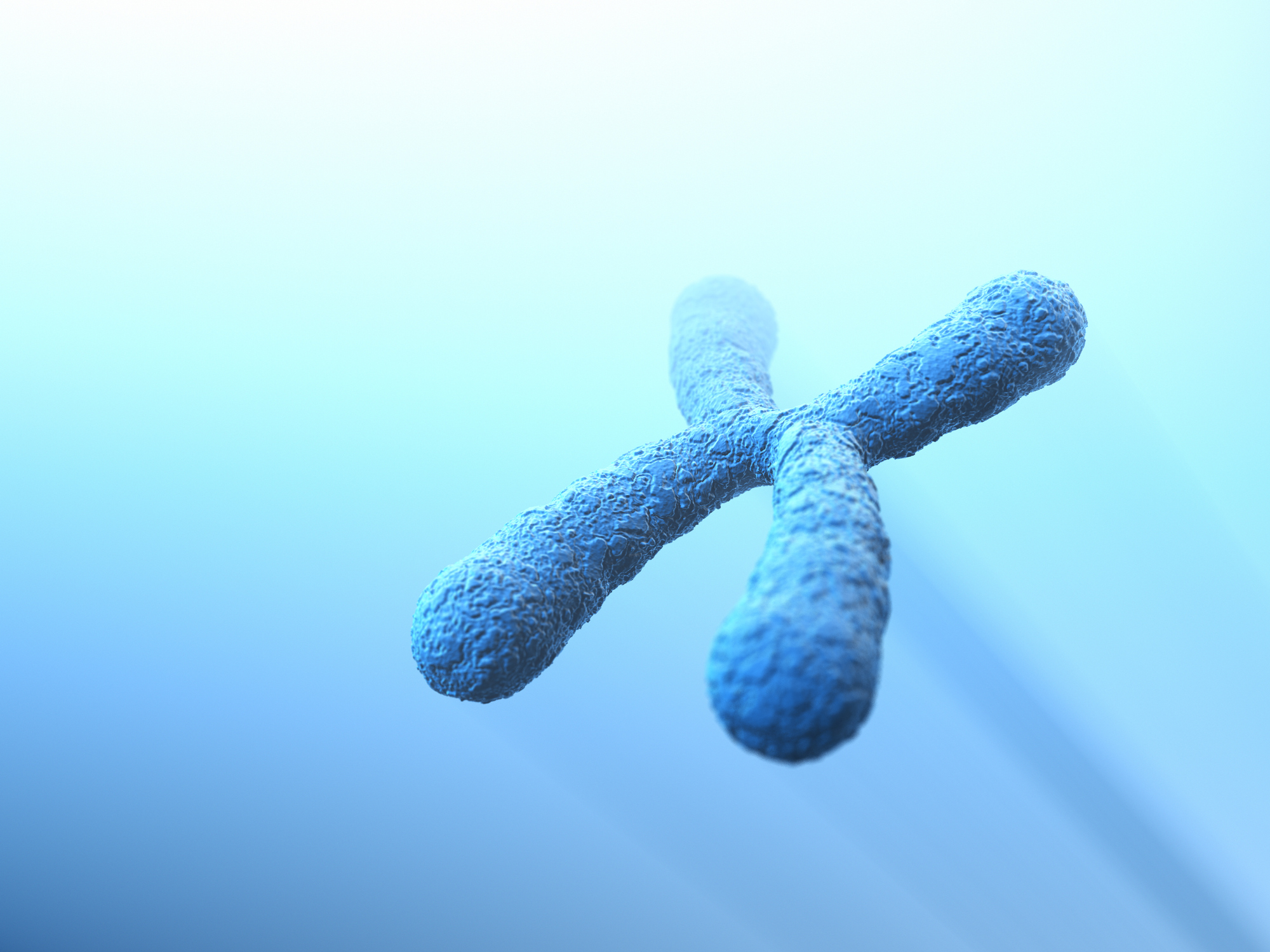 Qué es la triploidía - Cuestión de Genes