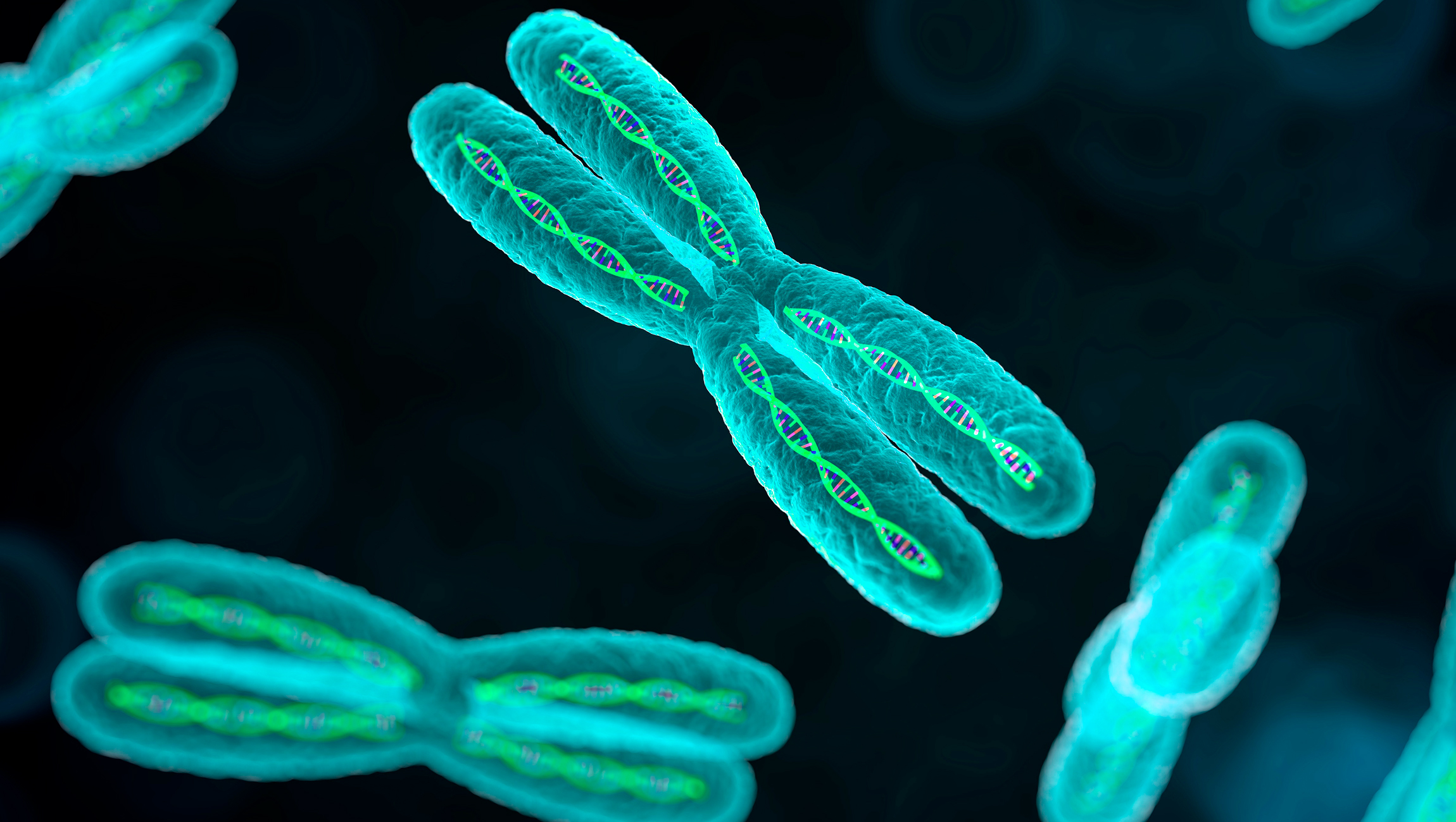 Trisomía 16 - Cuestión de Genes