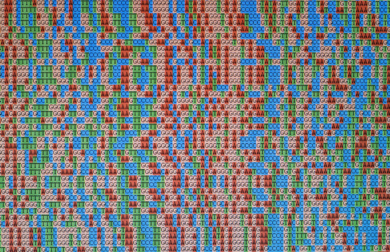 ¿Qué significa ser portador de una enfermedad genética? - Cuestión de Genes