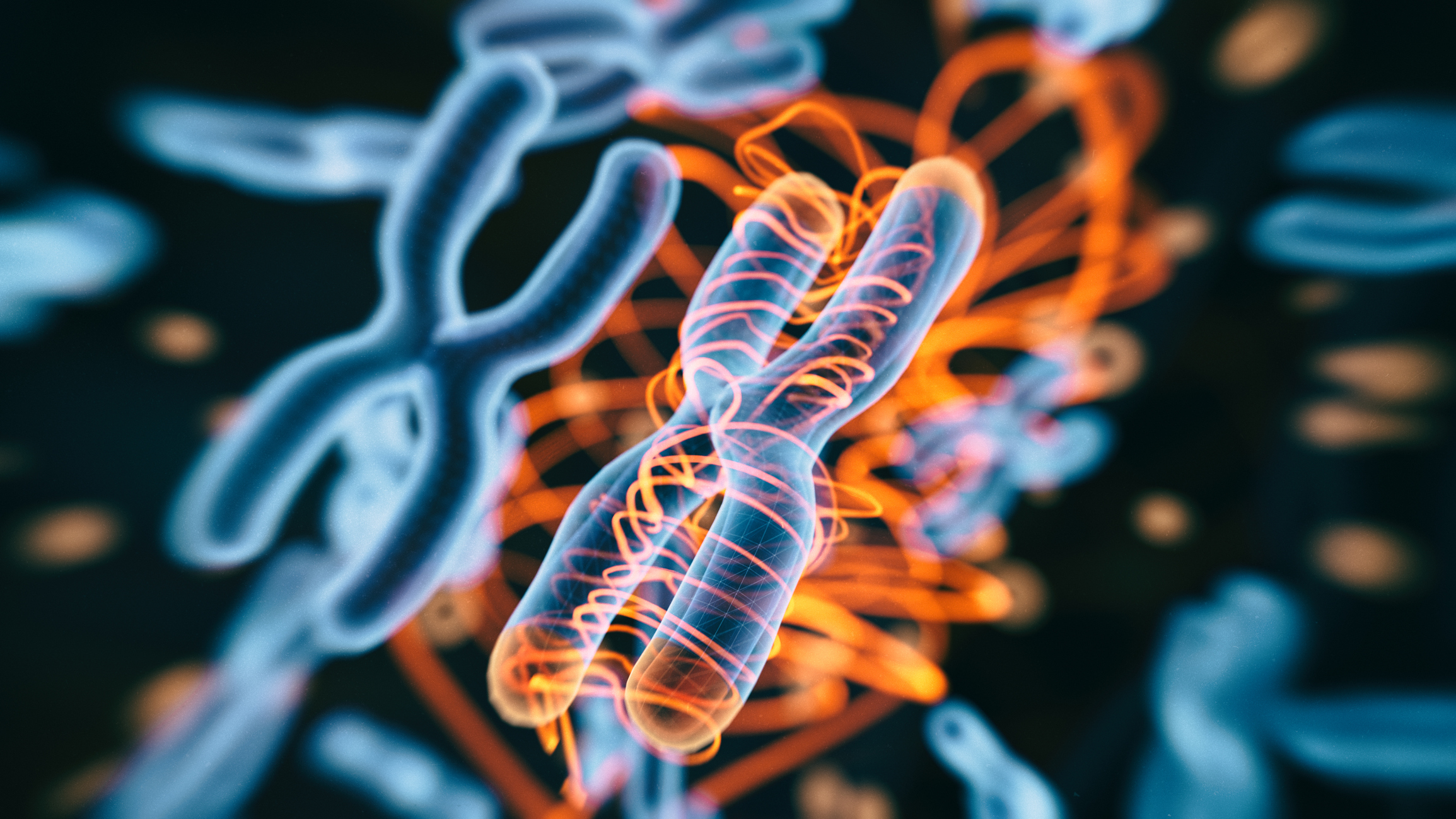 Genetic tools for the diagnosis of rare diseases - Genes Matter