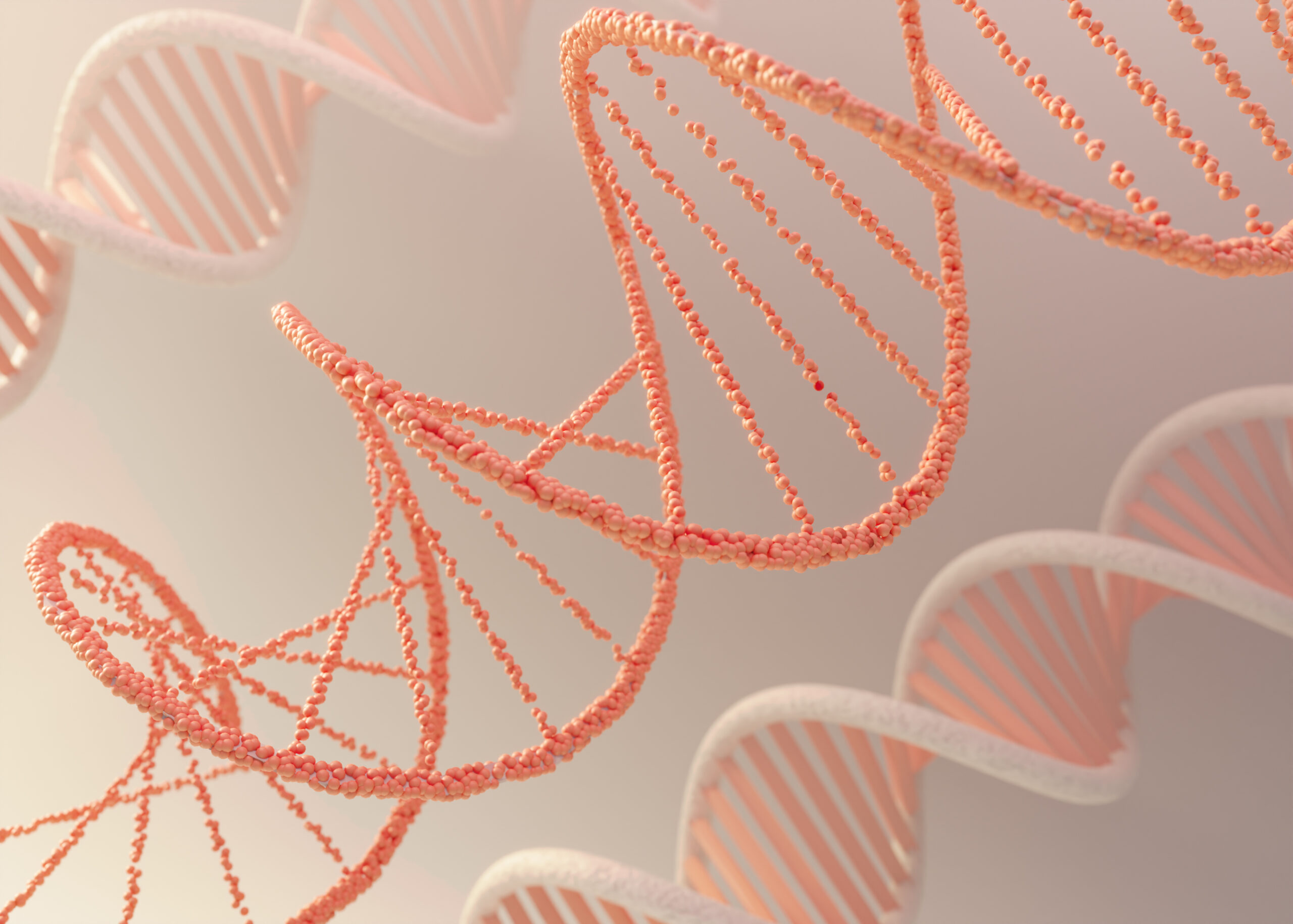 ADN No Codificante: Más que 'Basura' Genética - Cuestión de Genes