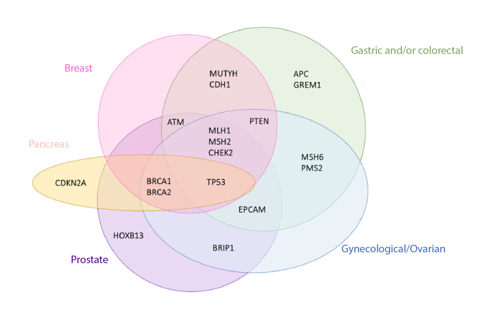 Breast and ovarian cancer genetic diagnosis - Genes Matter