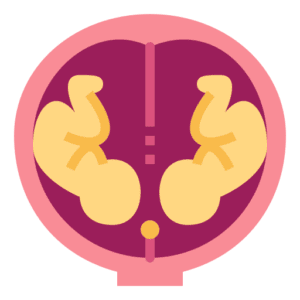 myPrenatal | Non Invasive Prenatal Test